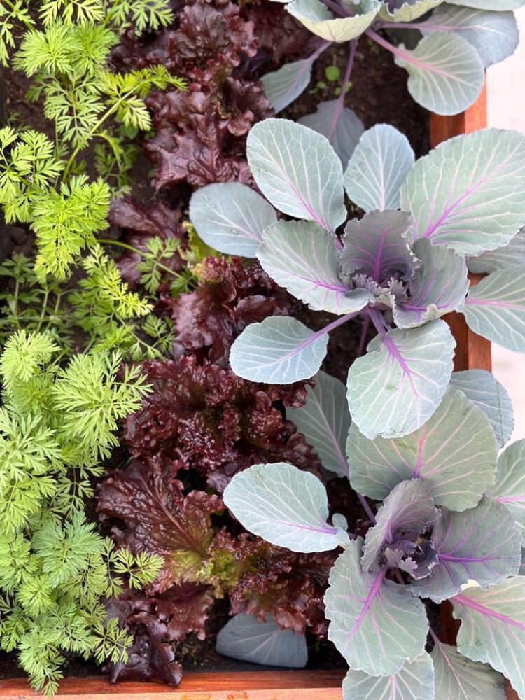 Así es Rooftop 460, la terraza botánica que diseñó Paula Colombini ...